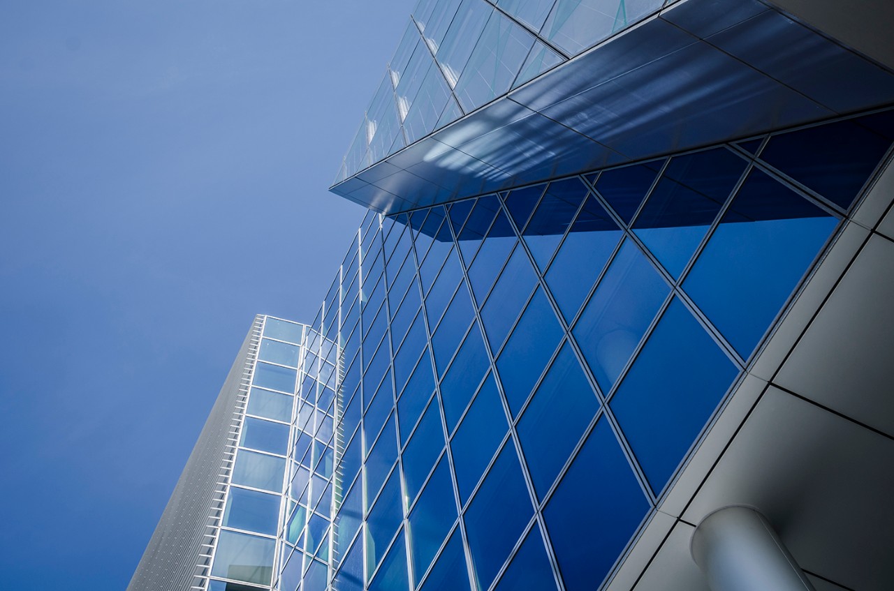 Tate Plants a Further 125 Fruit Trees at Peter McVerry Trust in Kildare