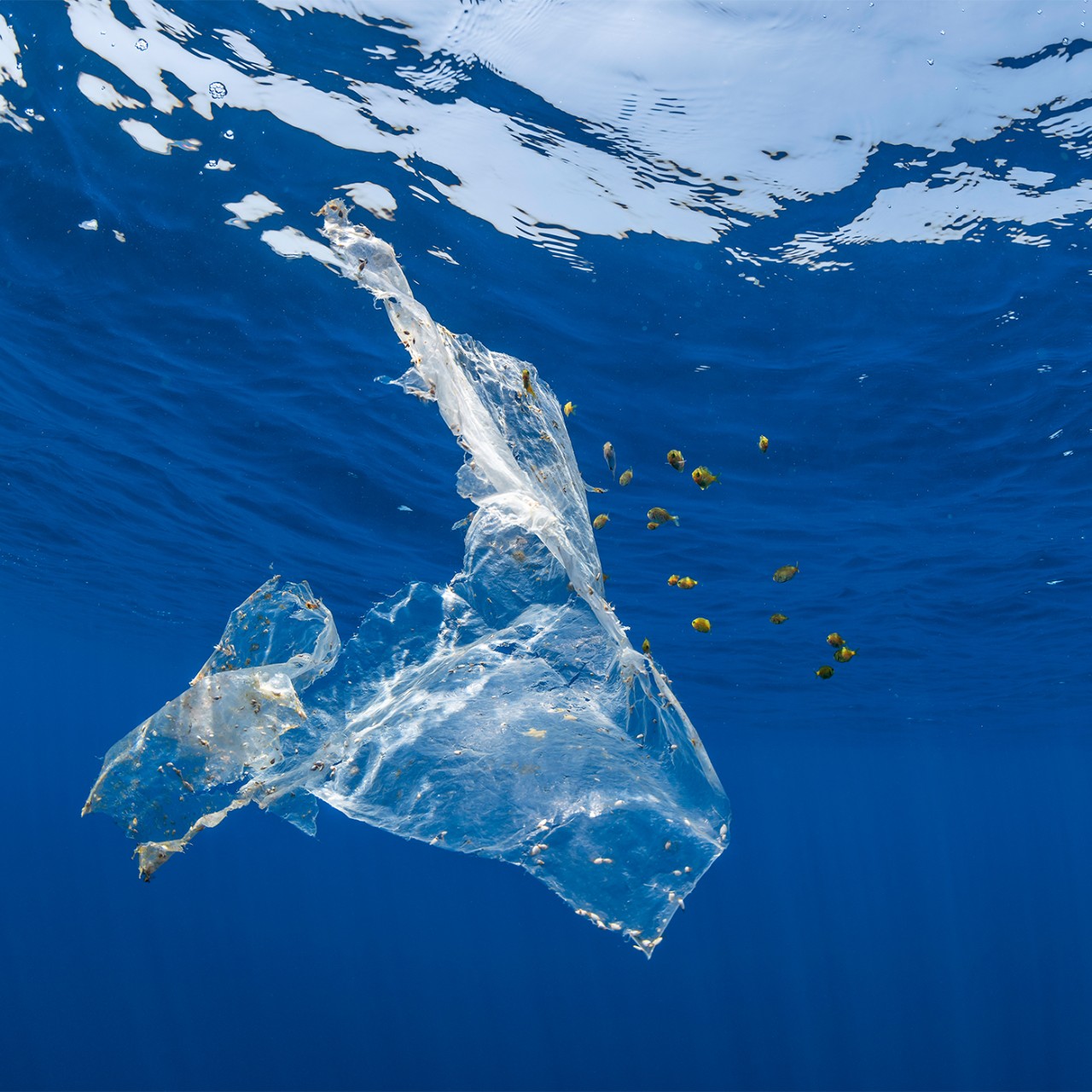 Kingspan Insulated Panels | Kingspan CA