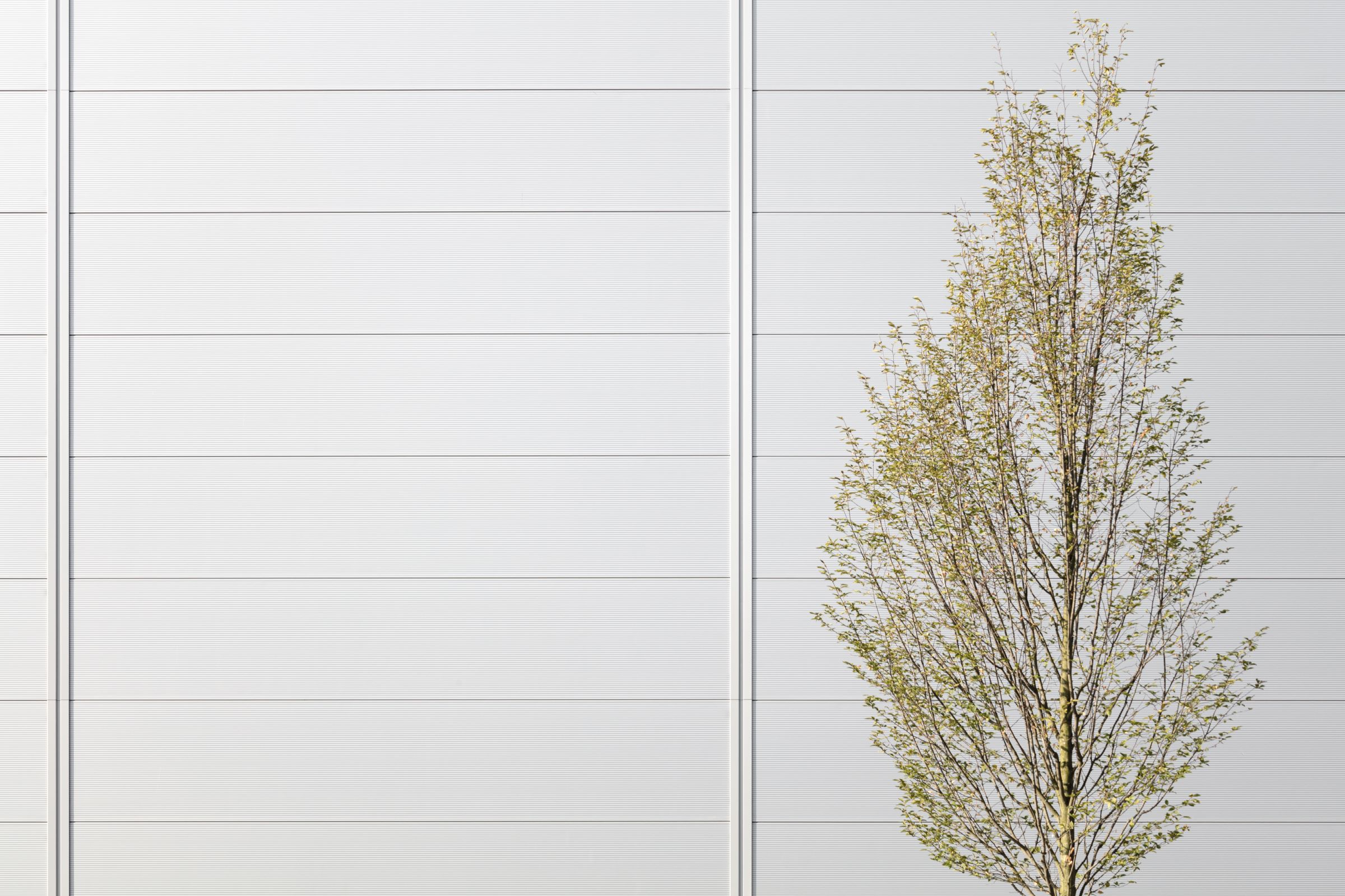 Lisenen und Hutprofile
