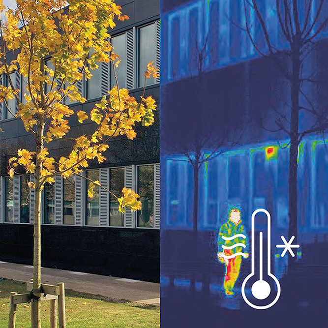 QuadCore AWP Supreme Wall Panel | Kingspan GB