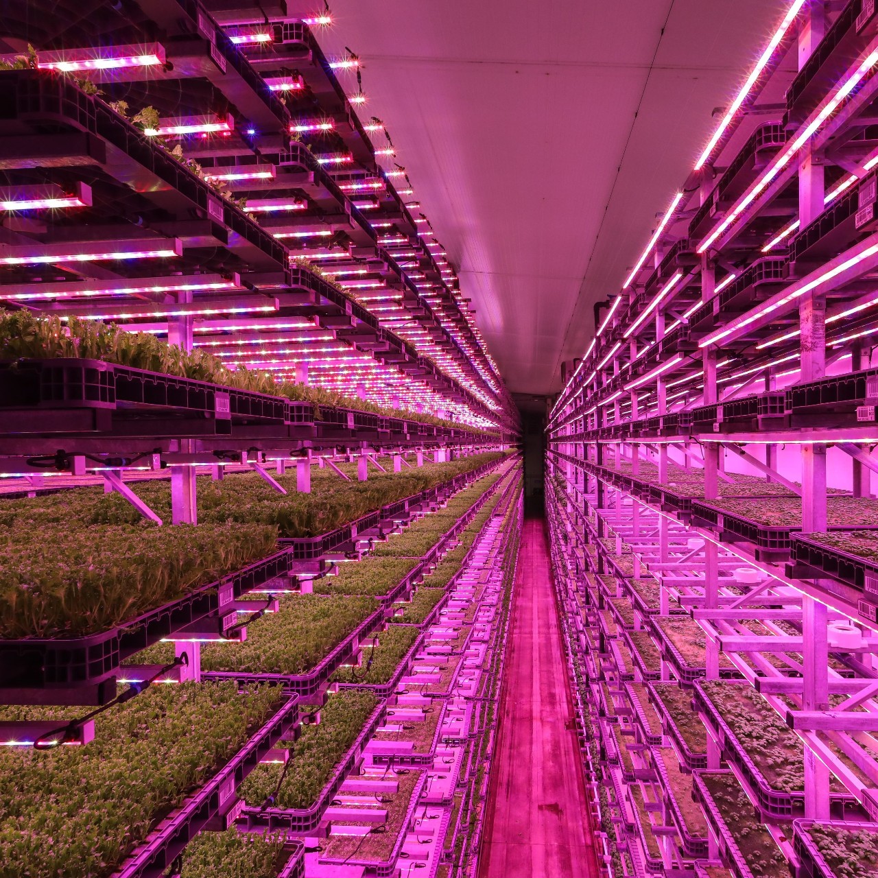 Jones Food Company | Kingspan GB