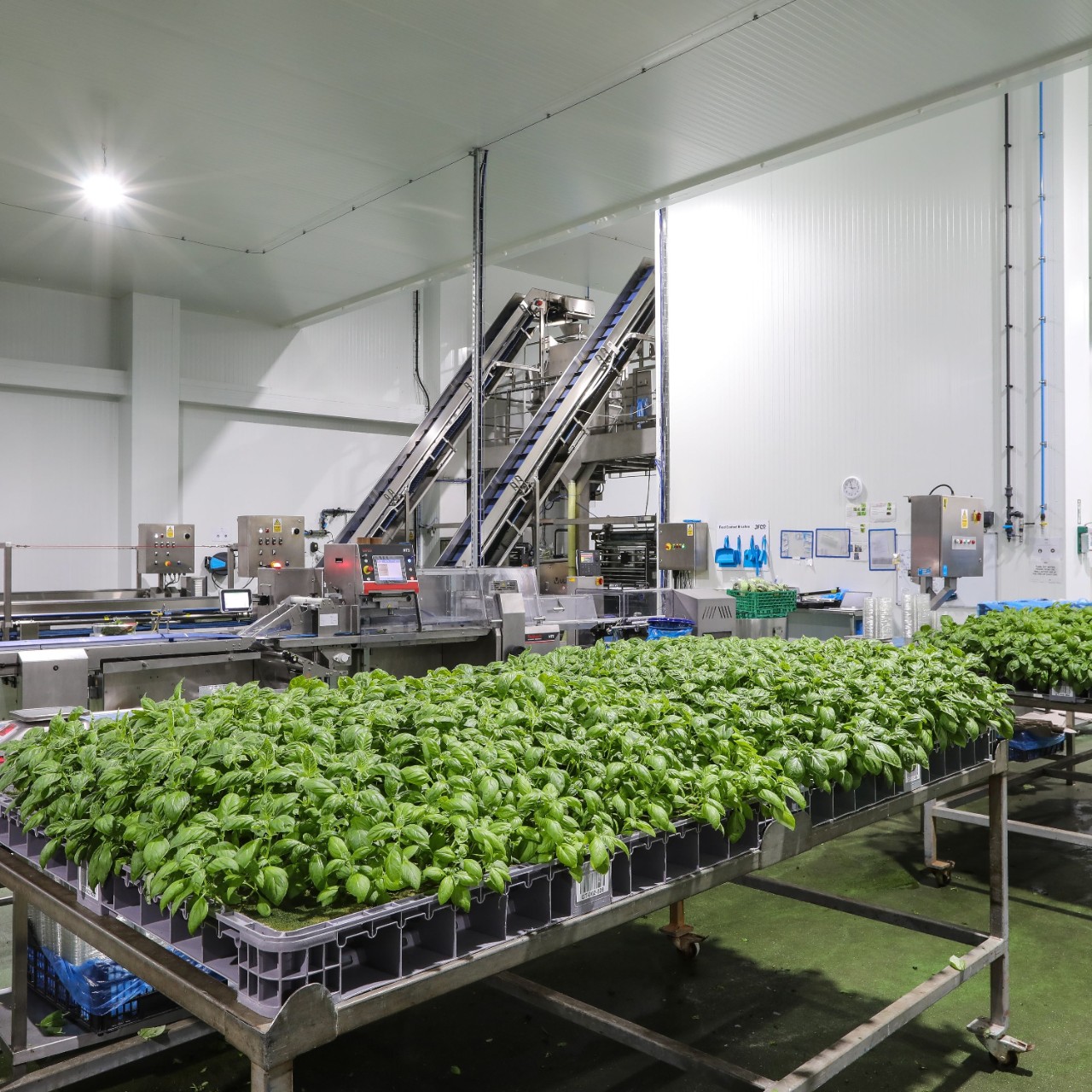 Jones Food Company | Kingspan GB