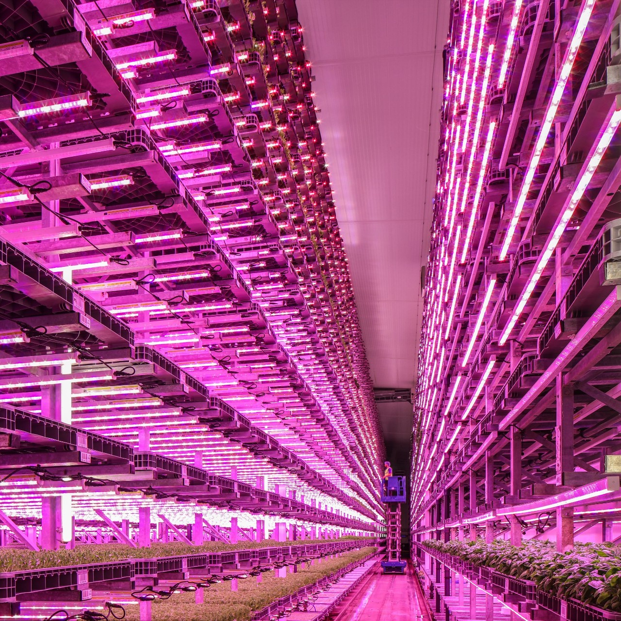 Jones Food Company | Kingspan GB