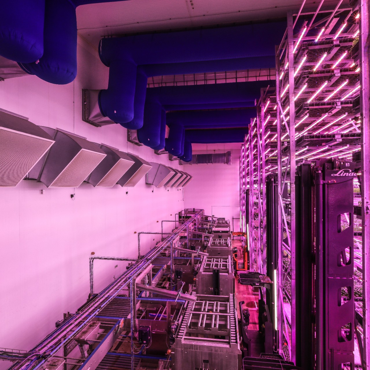 Jones Food Company | Kingspan GB