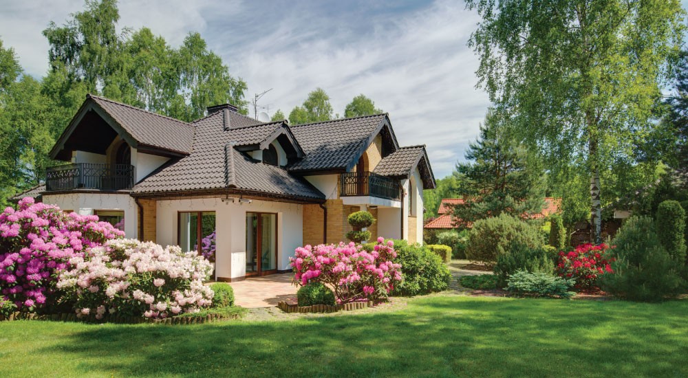 Klargester Reed Bed Filtration | Kingspan IE