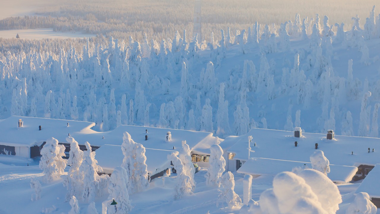 Vad är ett reningsverk?