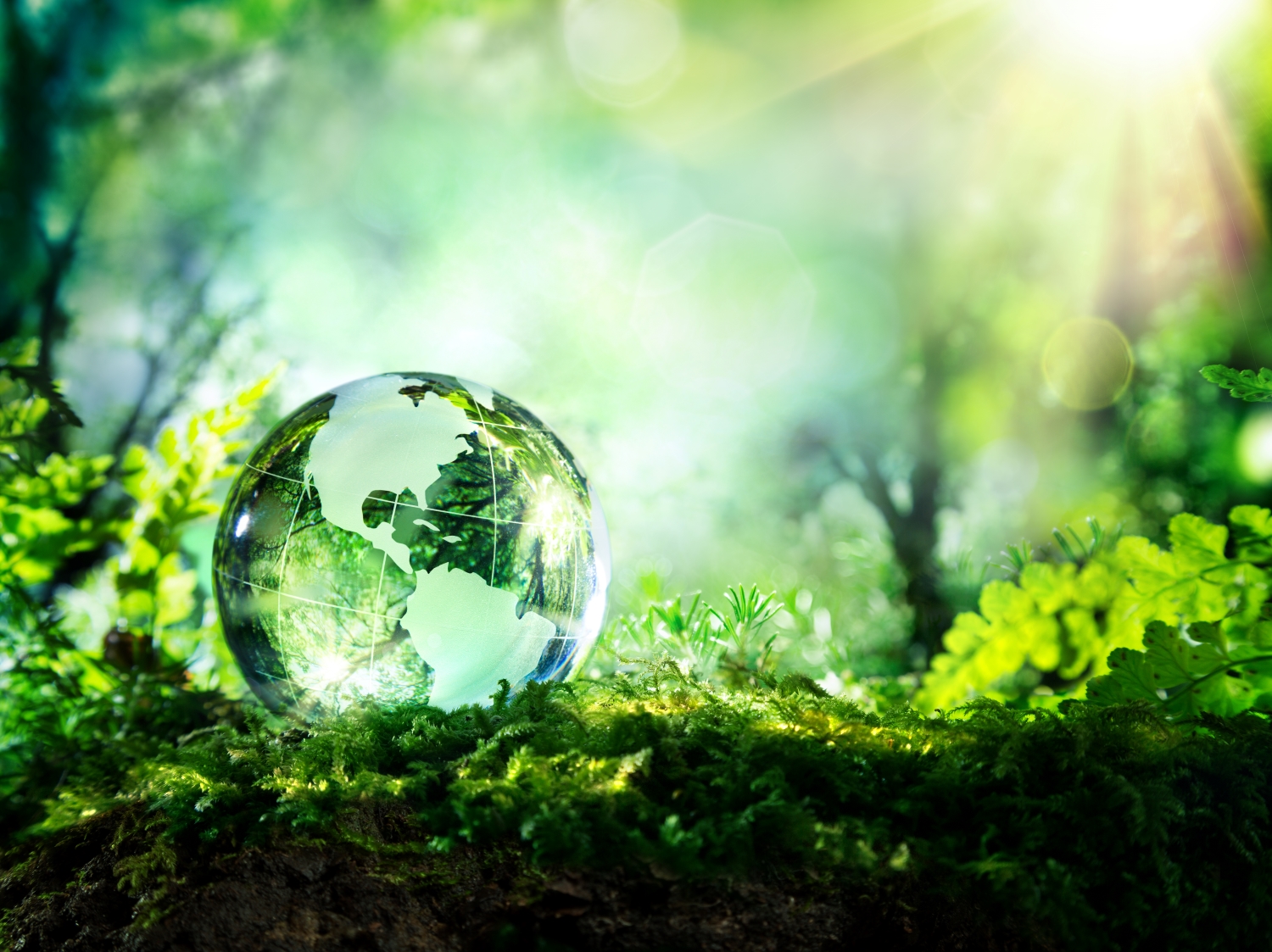 Environmental Product Declaration; tout sur les EPD | Kingspan FR-BE
