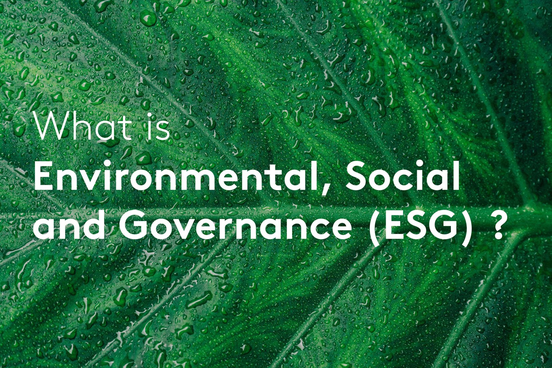ESG: Transparency is Key for Companies | Kingspan CA