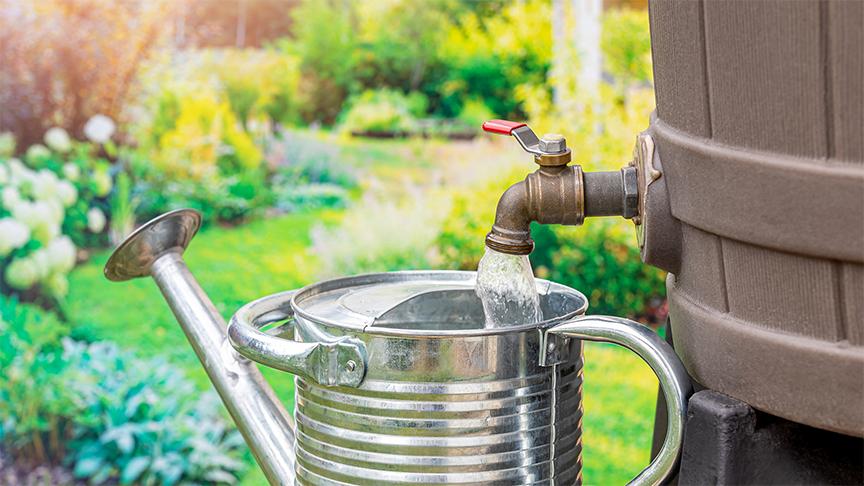 Ten hot weather water saving tips for your home | Kingspan GB