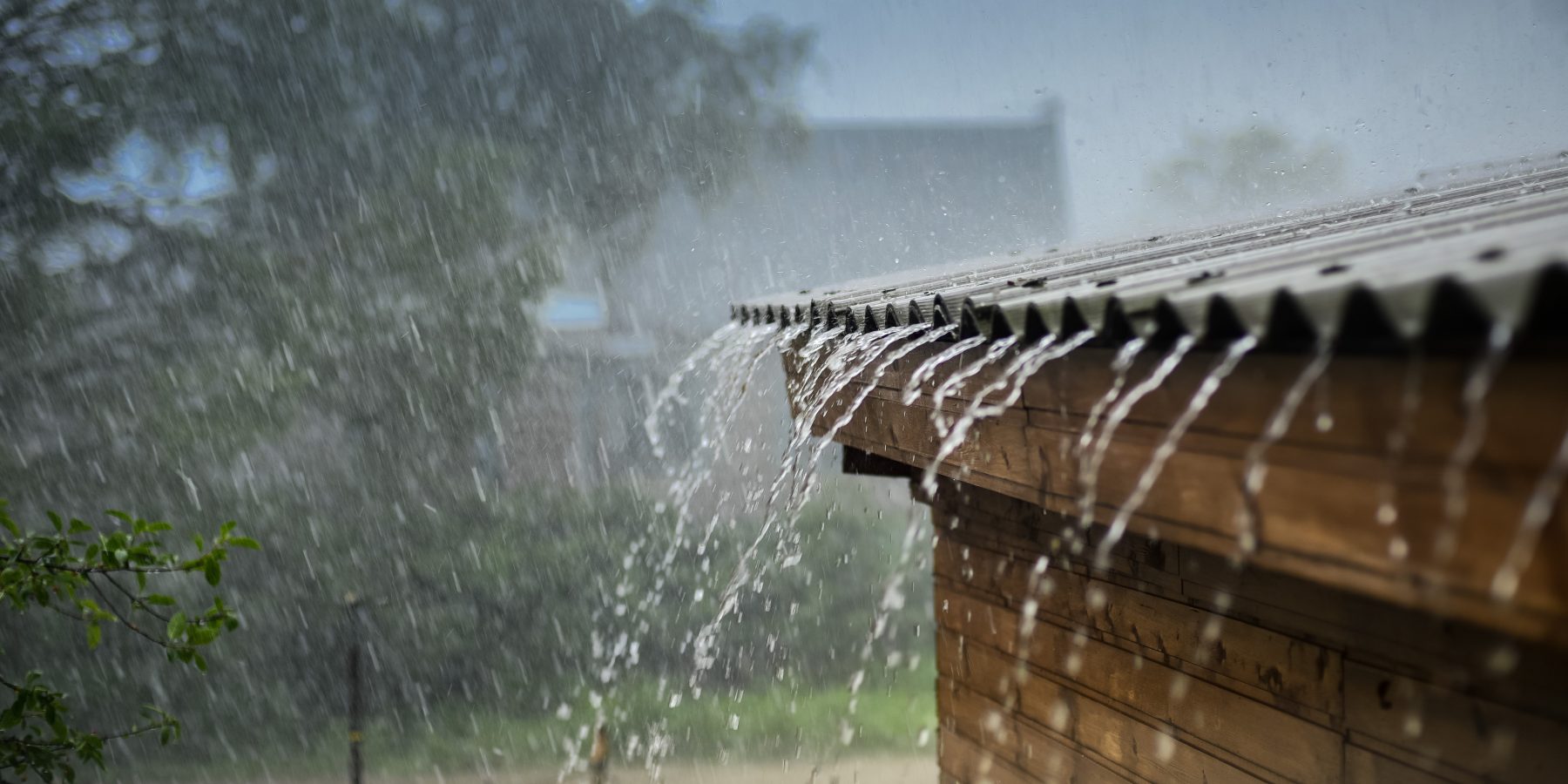 The Role of Rainwater Harvesting in Sustainable Water Management ...
