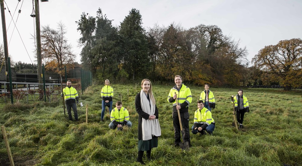 Tate Plants a Further 125 Fruit Trees at Peter McVerry Trust in Kildare ...