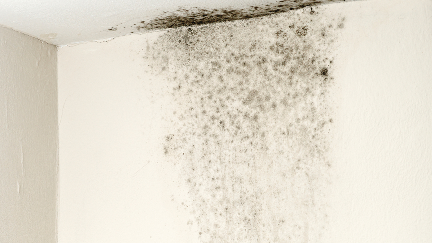 4 Tips on Avoiding Condensation