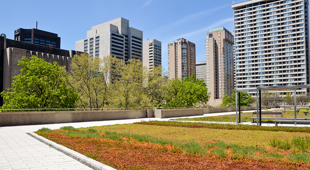 Sustainability on the Roof: Vegetative Roof Systems | Kingspan US